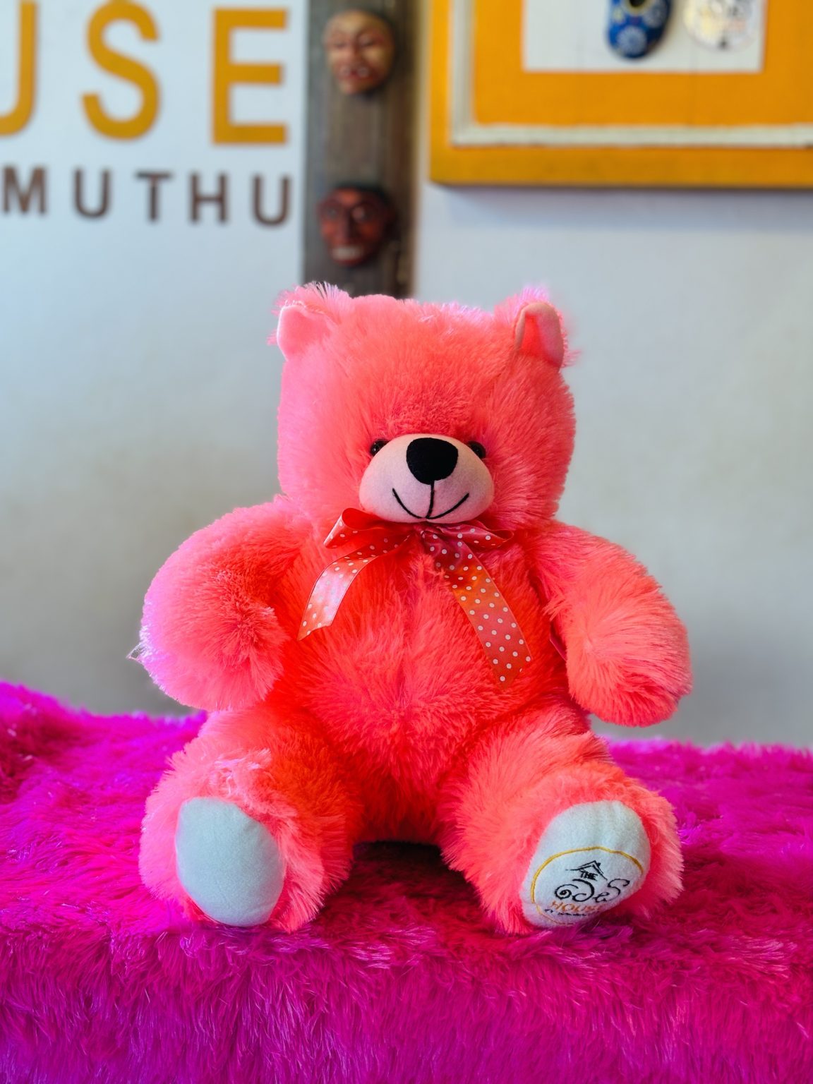 Buy 1 Feet Cute Teddy Bears Cheap in Sri Lanka | Teddy House