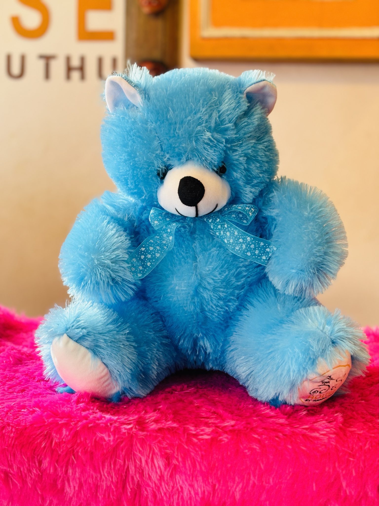 Buy 1 Feet Cute Teddy Bears Cheap in Sri Lanka | Teddy House