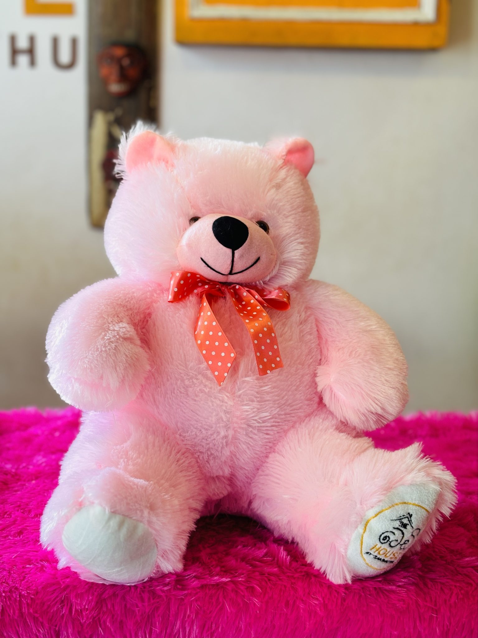 Buy 1 Feet Cute Teddy Bears Cheap in Sri Lanka | Teddy House